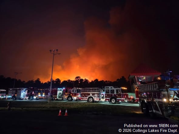 Collings Lakes Fire Reports 248 Calls for Service in 2025