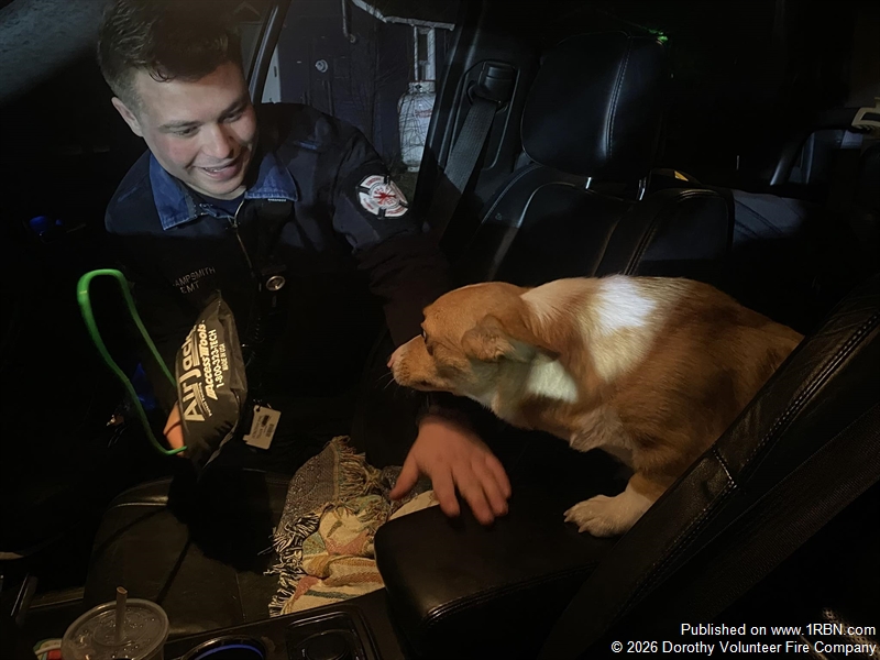 Dorothy Volunteer Fire Company Assists in Pet Rescue Call