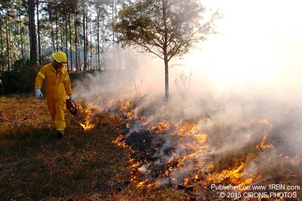 PARRIS ISLAND FIRE DEPARTMENT STANDING UP WILDLAND FIRE CREW